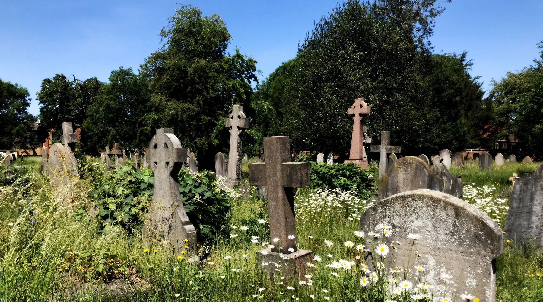 Walking in the graveyard - Rev. Holly Chetan-Welsh
